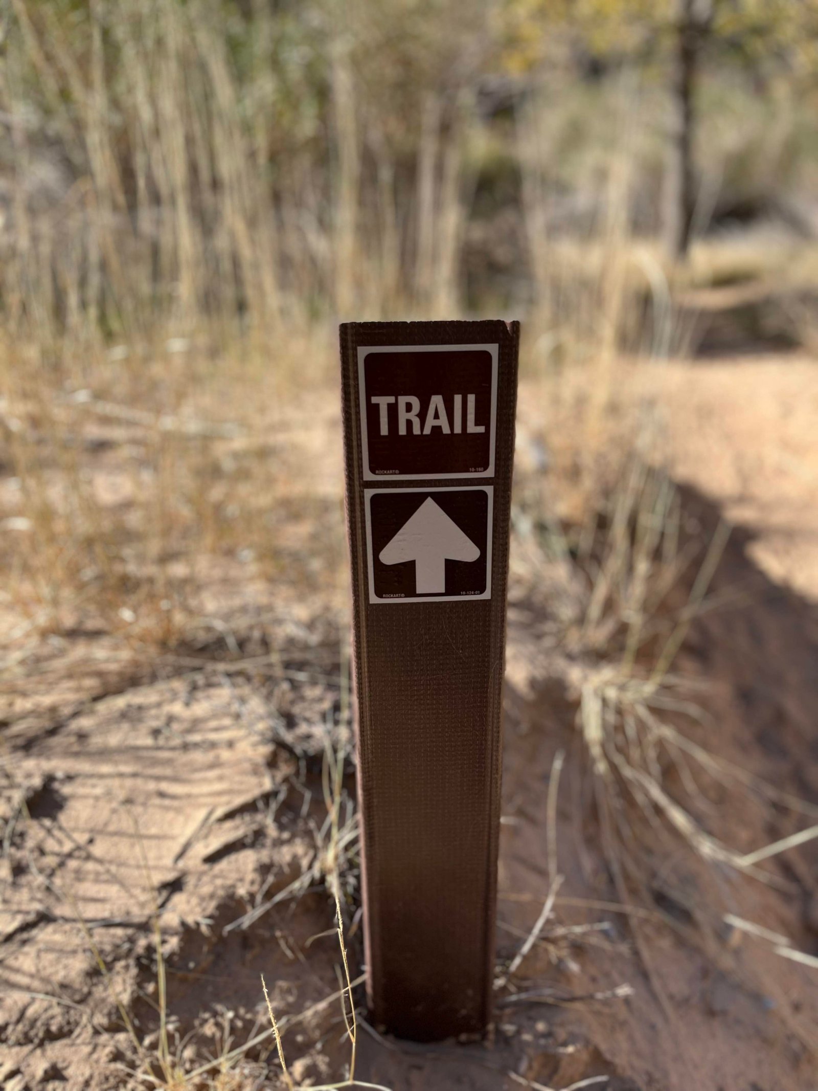 Home - The Forged Leader